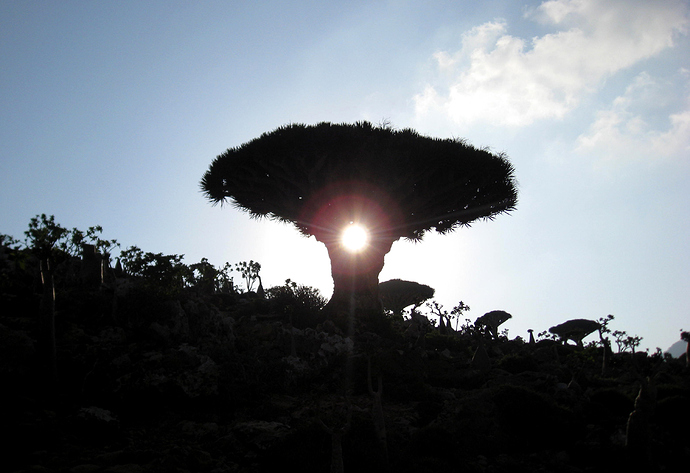 Photo Of The Day Page 133 Lpsg