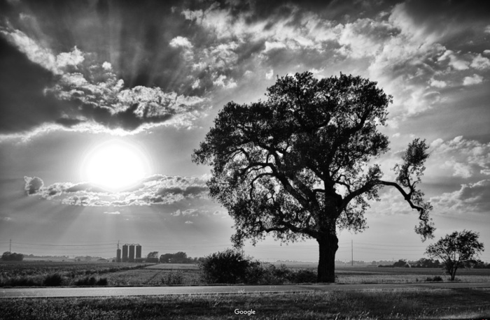 Photo Of The Day Page 133 Lpsg